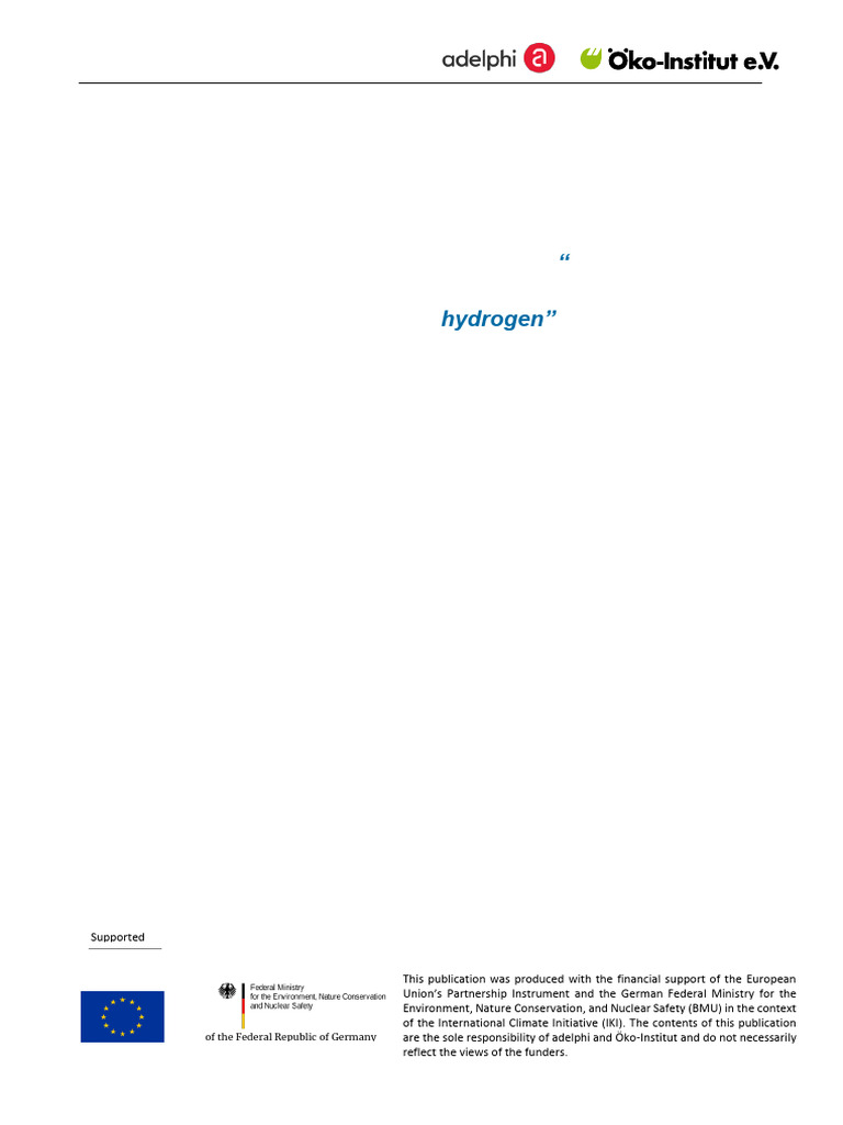 Adelphi and Öko-Institut 2021 - Critical Review of IPHE Workingpaper On GHG-emissions From H2 ...