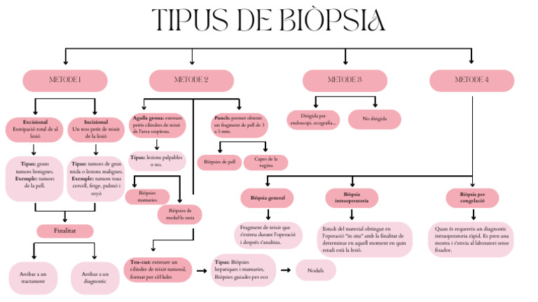 Esquema Tipus Biòpsia | PDF