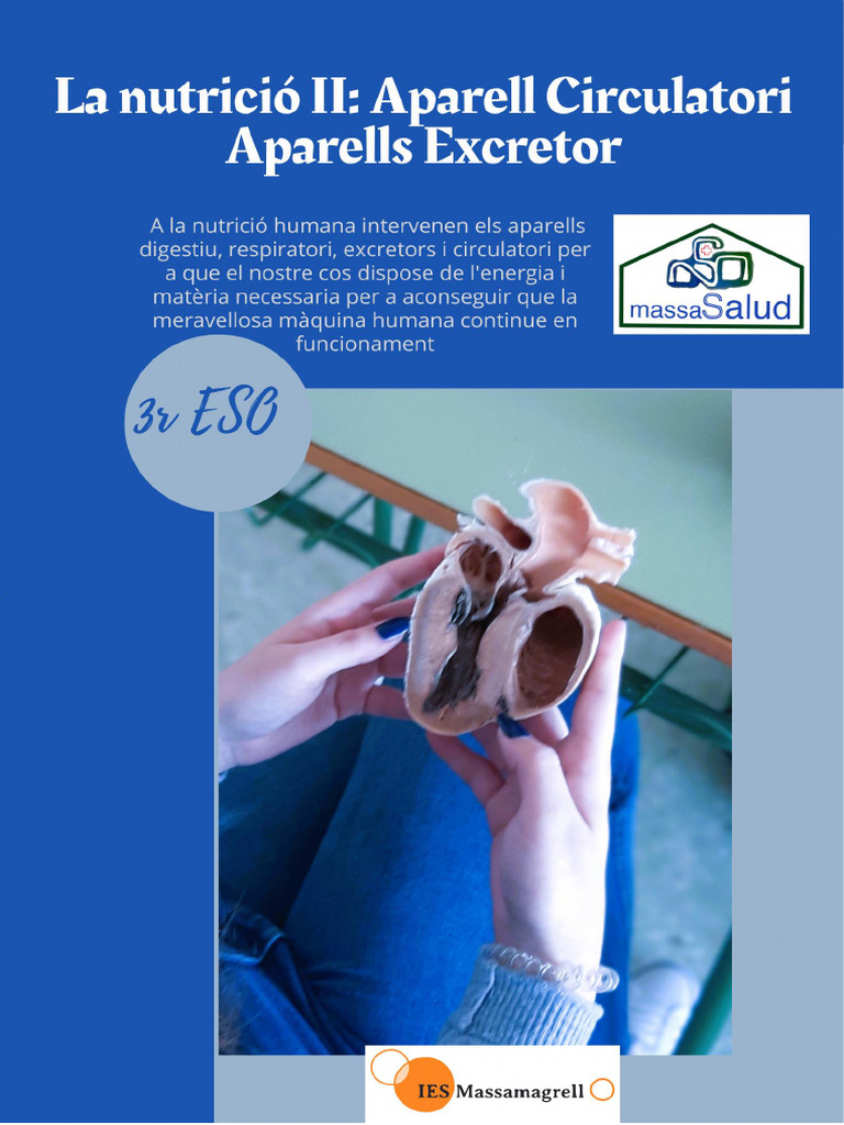 Dossier Unitat 4 | PDF