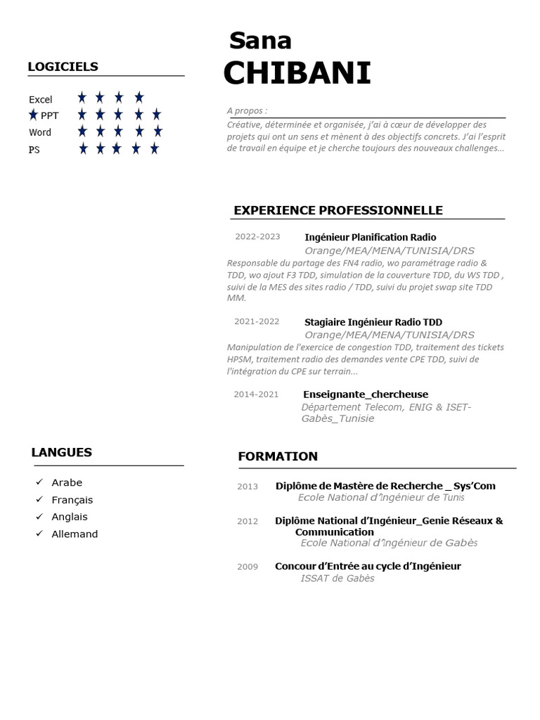 CV Sana Python Word | PDF