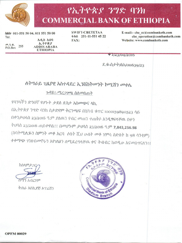 Bank Statement (CBE) | PDF