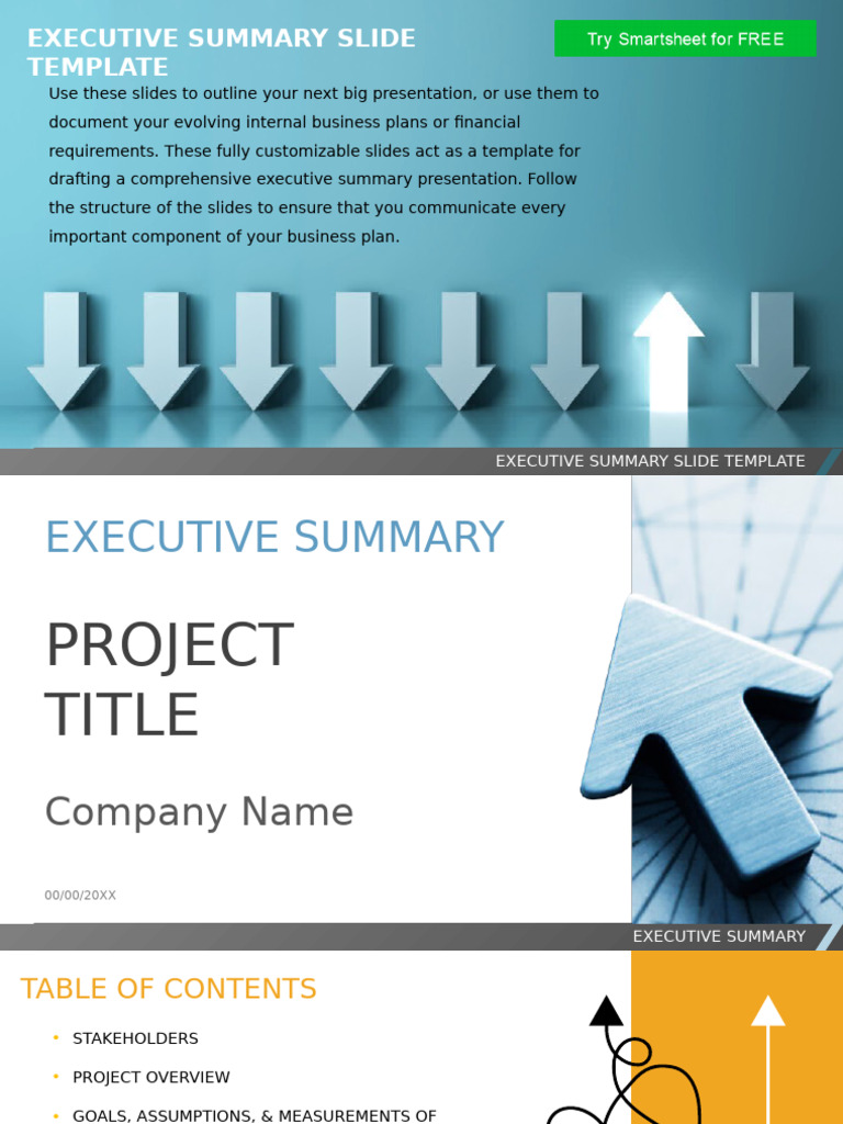 IC Executive Summary Slide 9227 - PowerPoint | PDF