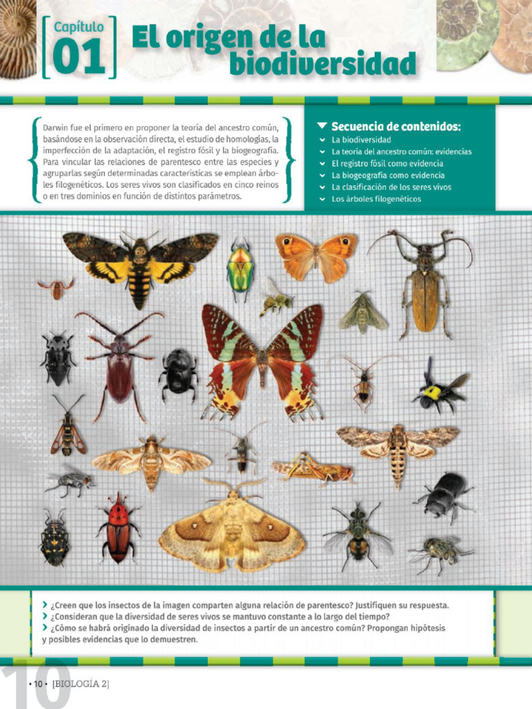 Biodiversidad-Clasificacion de Los Seres Vivos-2do | PDF