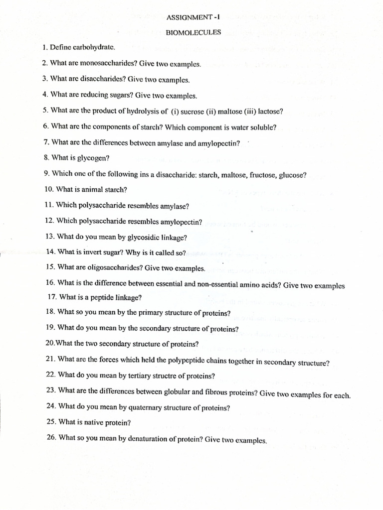 Chem Assignment | PDF