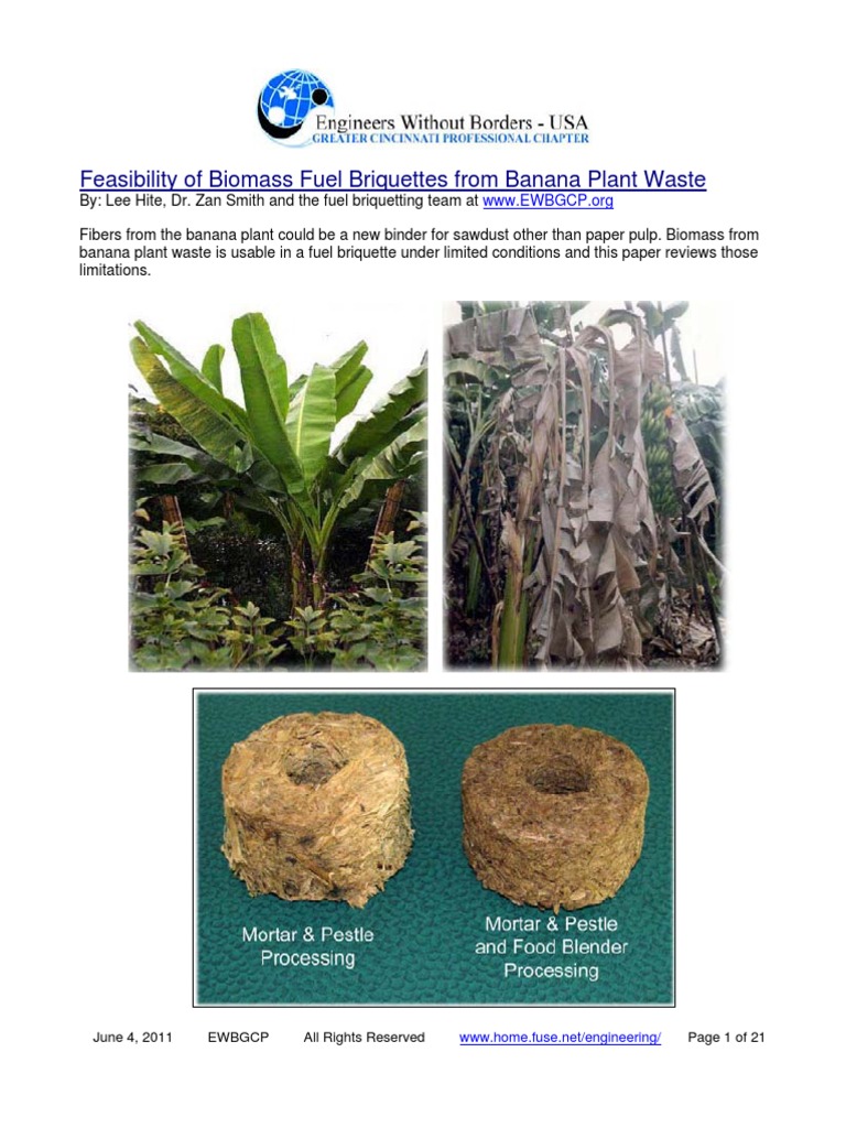 Feasibility Biomass Fuel Briquettes From Banana Plant Waste | Banana ...