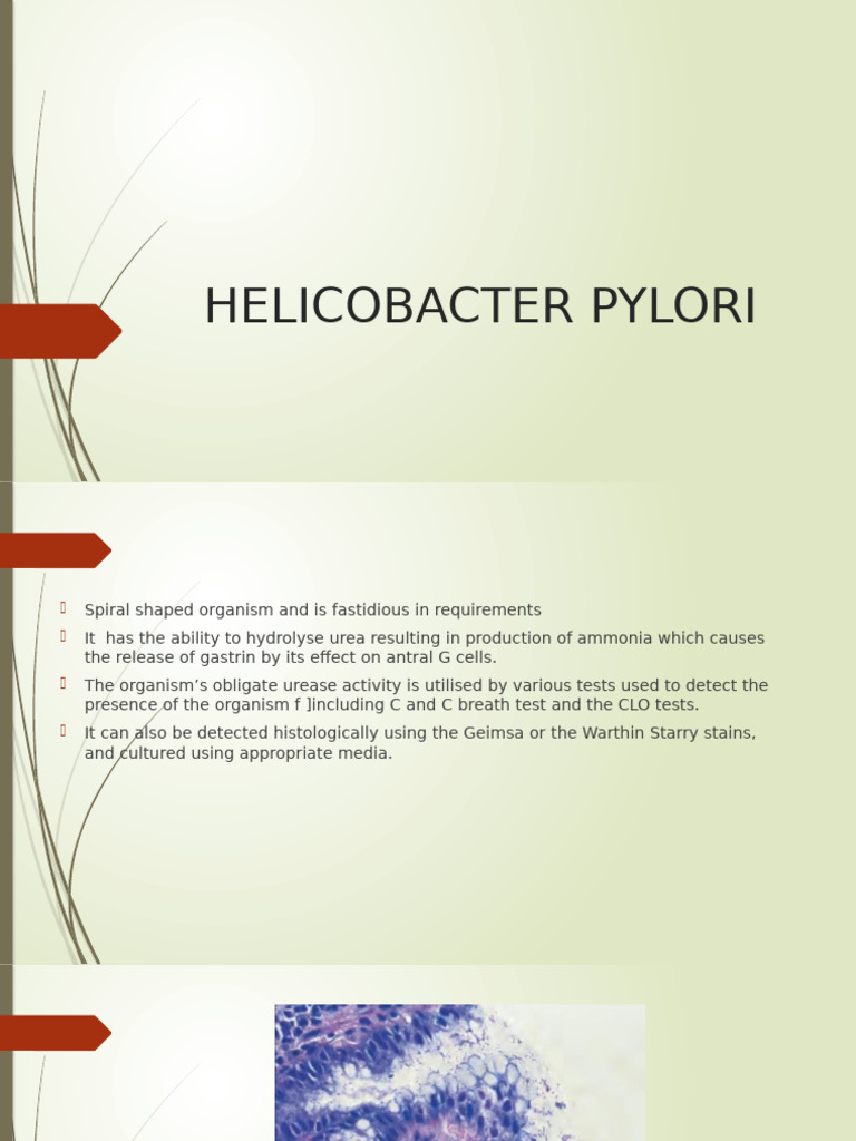 HELICOBACTER PYLORI | PDF
