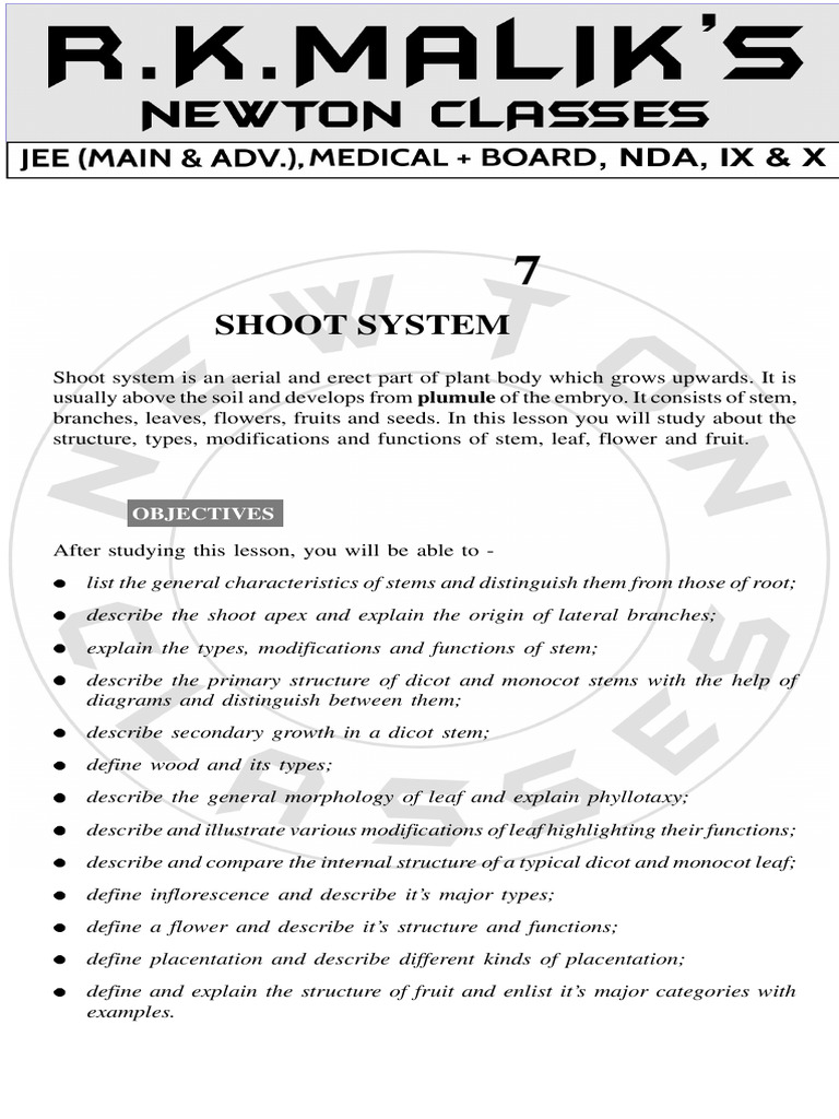 Shoot System | PDF