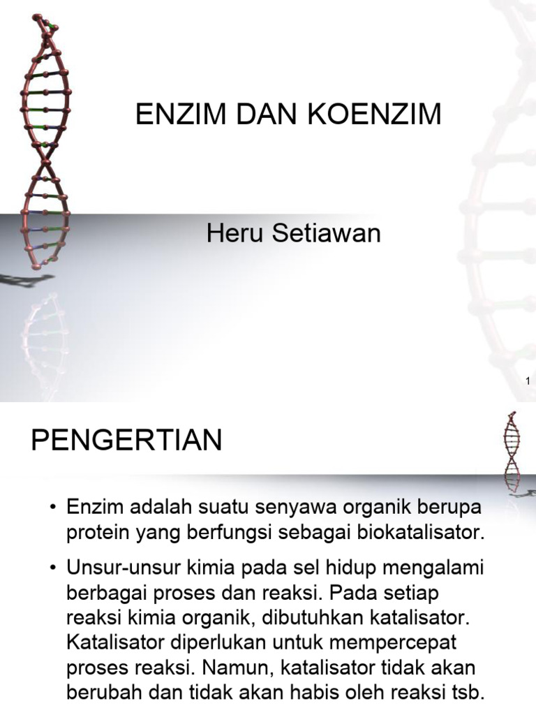 PDF Enzim Dan Koenzim 120824 | PDF