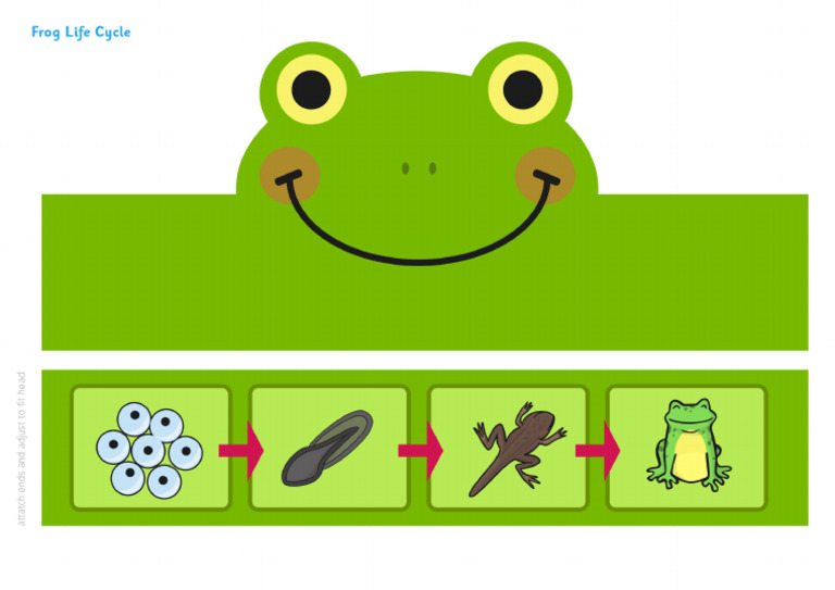 Frog Life Cycle Headband - Ver - 1 | PDF