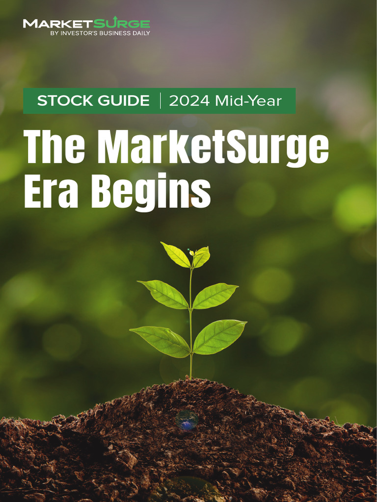 StockGuide Mid Year 2024 | PDF