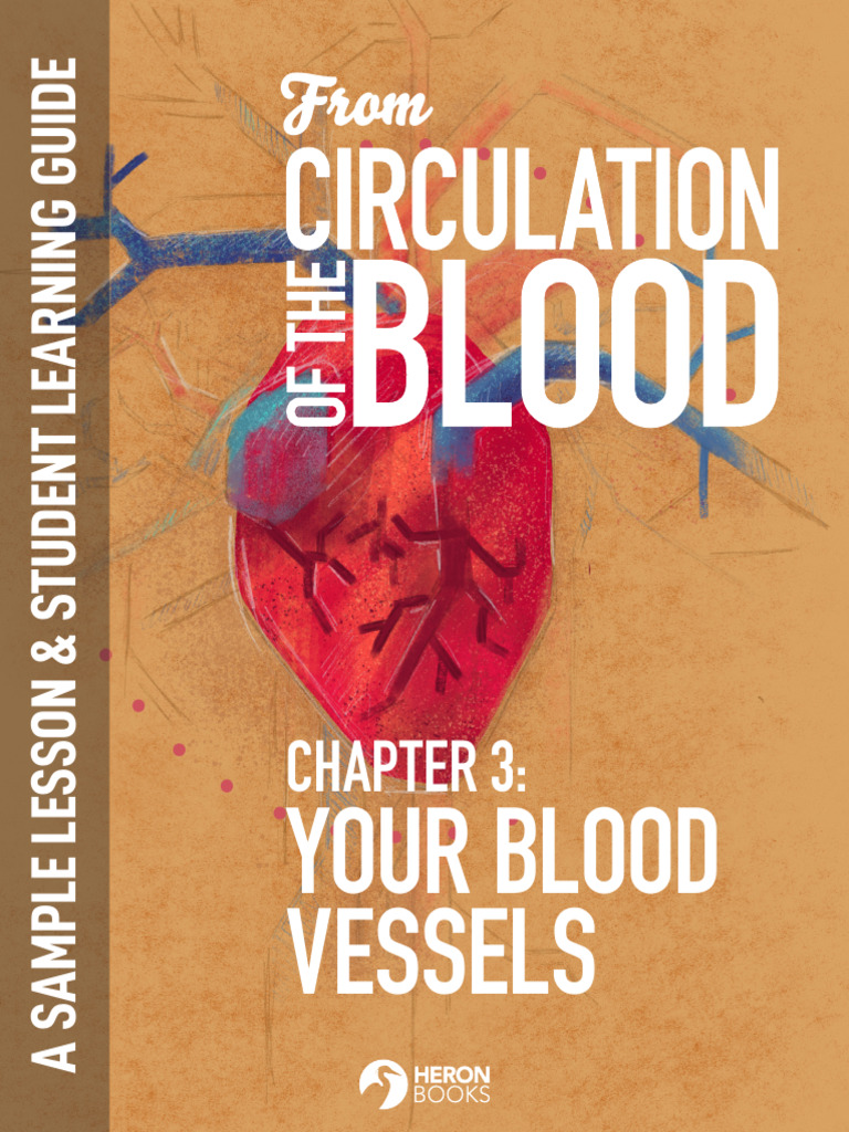 Circulation of The Blood - Chapter 3 - Your Blood Vessels - Lesson and ...