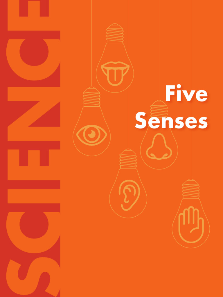 Five Senses Book | PDF