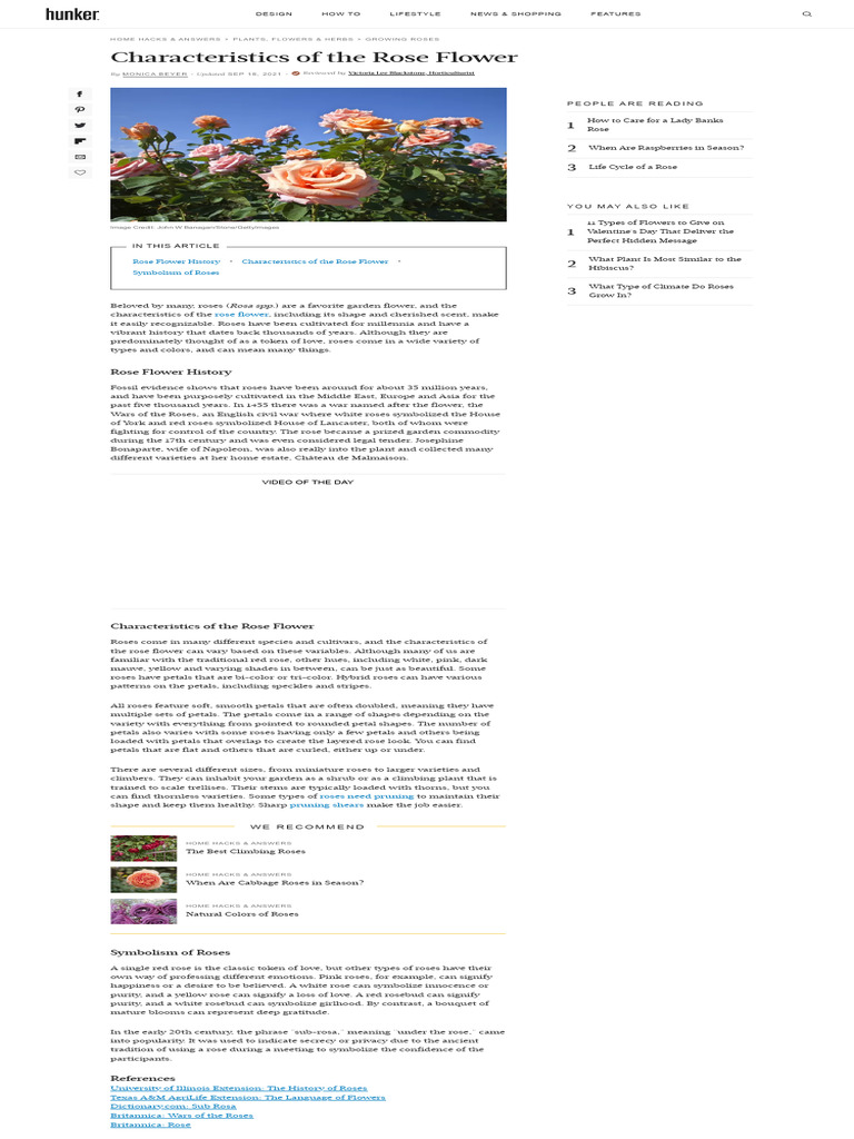 Characteristics of The Rose Flower - Hunker | PDF