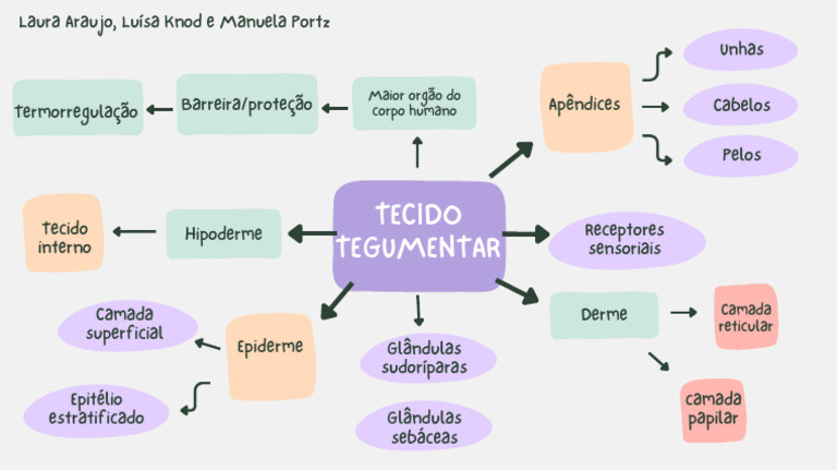 Purple Colorful Organic Mind Map Brainstorm | PDF