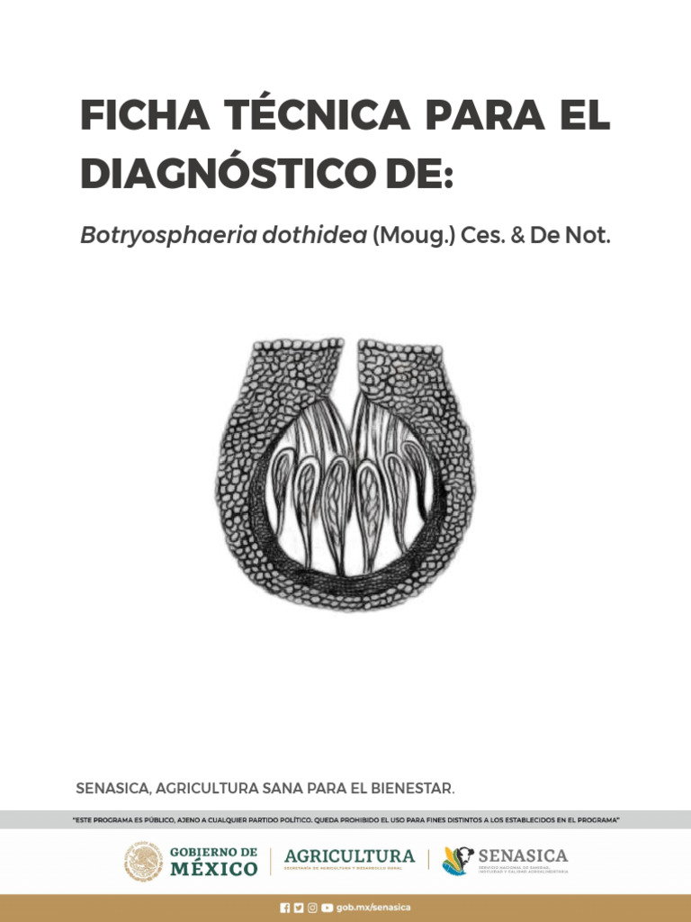Ficha Técnica Botryosphaeria Dothidea | PDF