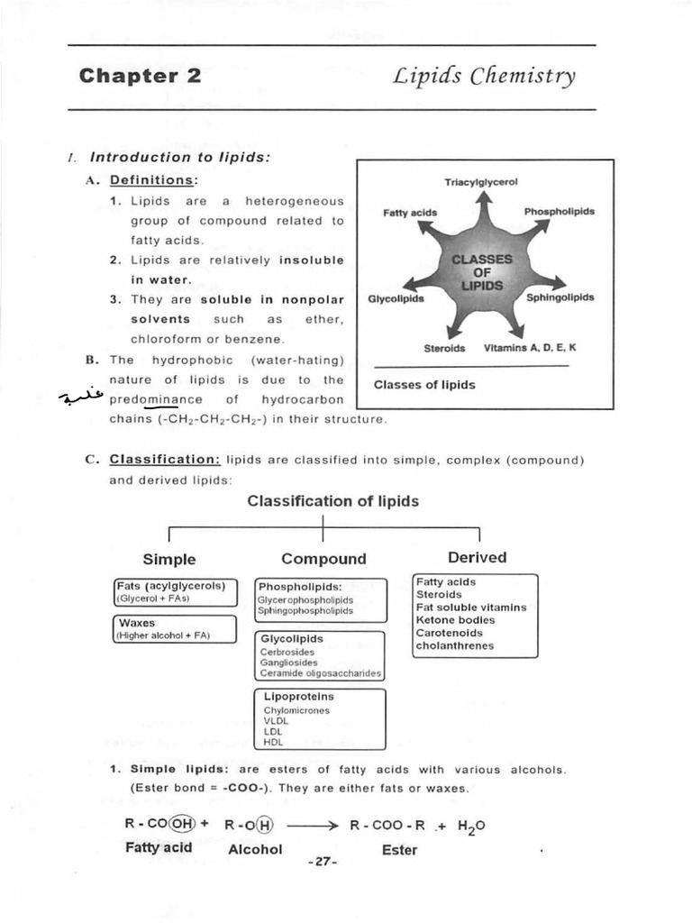 Biochemistry or you p1 export | PDF