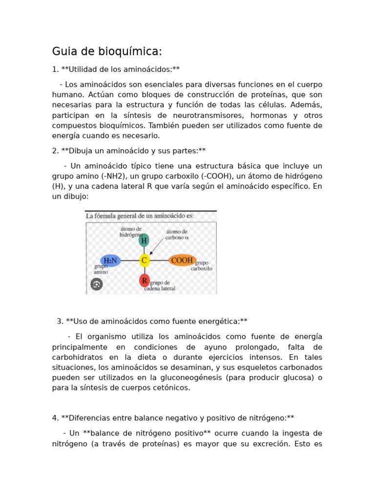 Guia de Examen Bioquimica | PDF