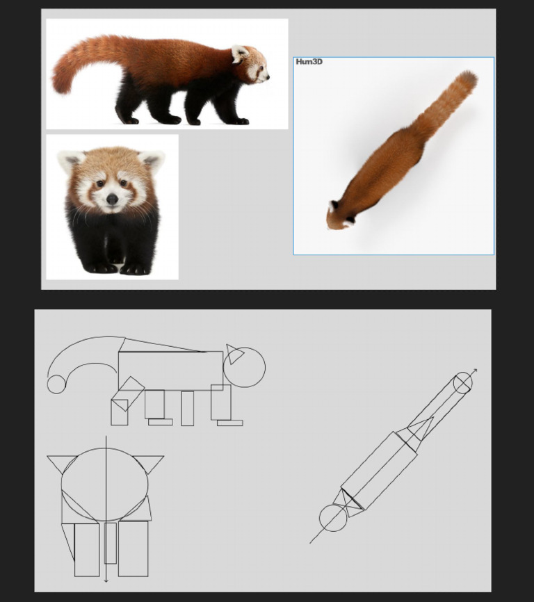 Red Panda | PDF