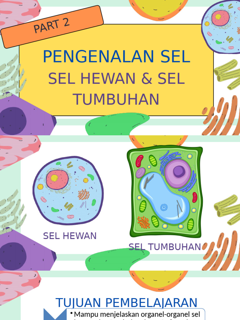 Pengenalan Sel Part 2 (Sel Hewan Dan Sel Tumbuhan) | PDF