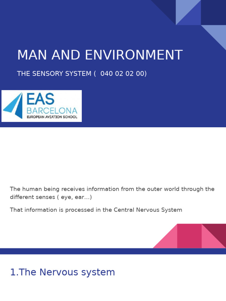 Lesson 8 Man and Environment | PDF