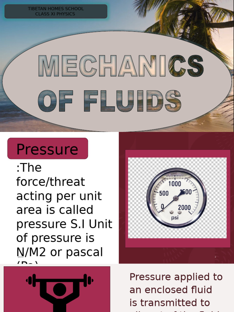 Fluids | PDF