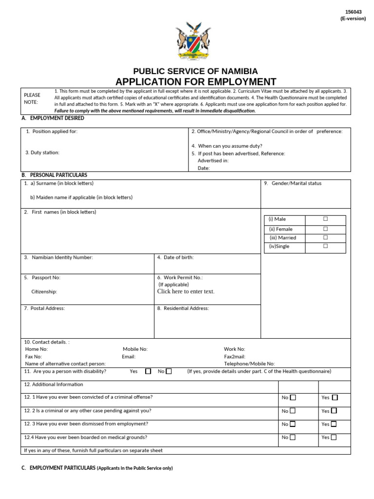 E - Version Application For Employment | PDF