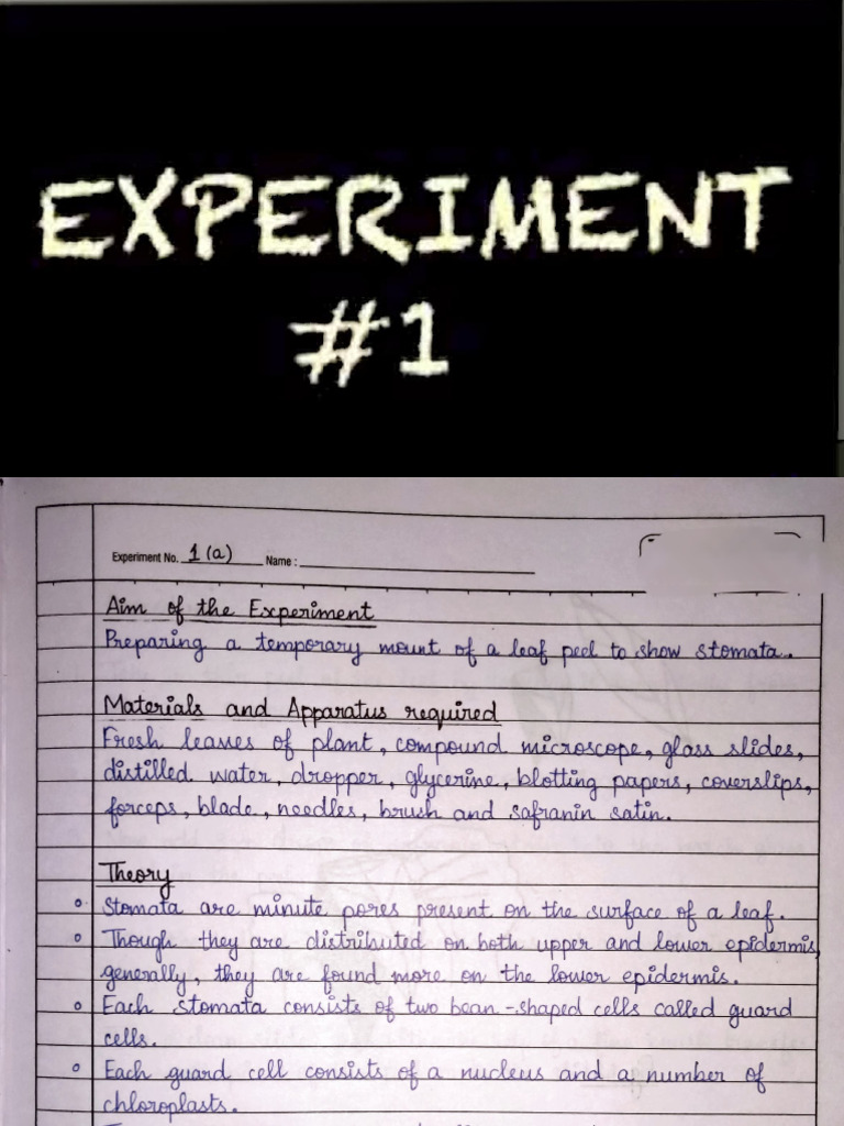 10th Practical | PDF