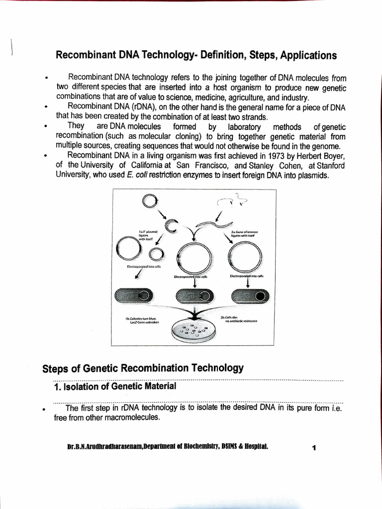 Recombinant Dna Technology | PDF