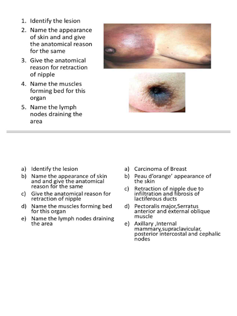 Anat Uni Clinical Charts | PDF