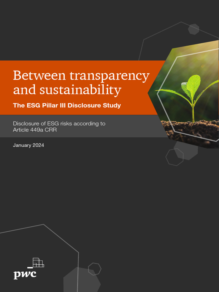 Esg in Pillar III Disclosure | PDF