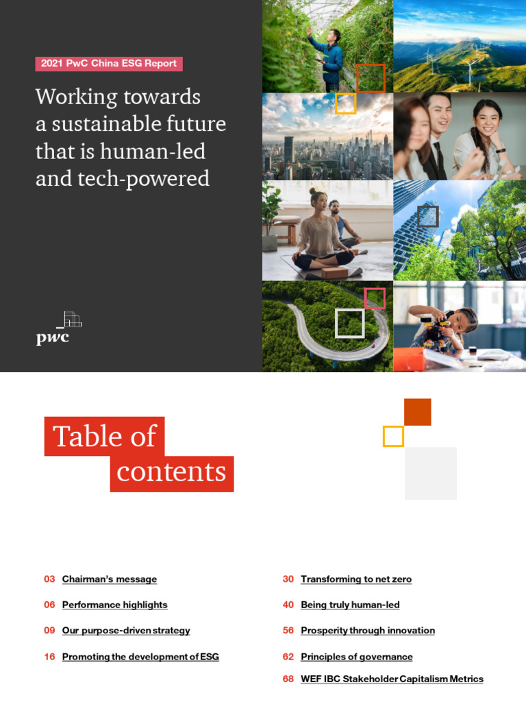 China Esg Report 2021 | PDF