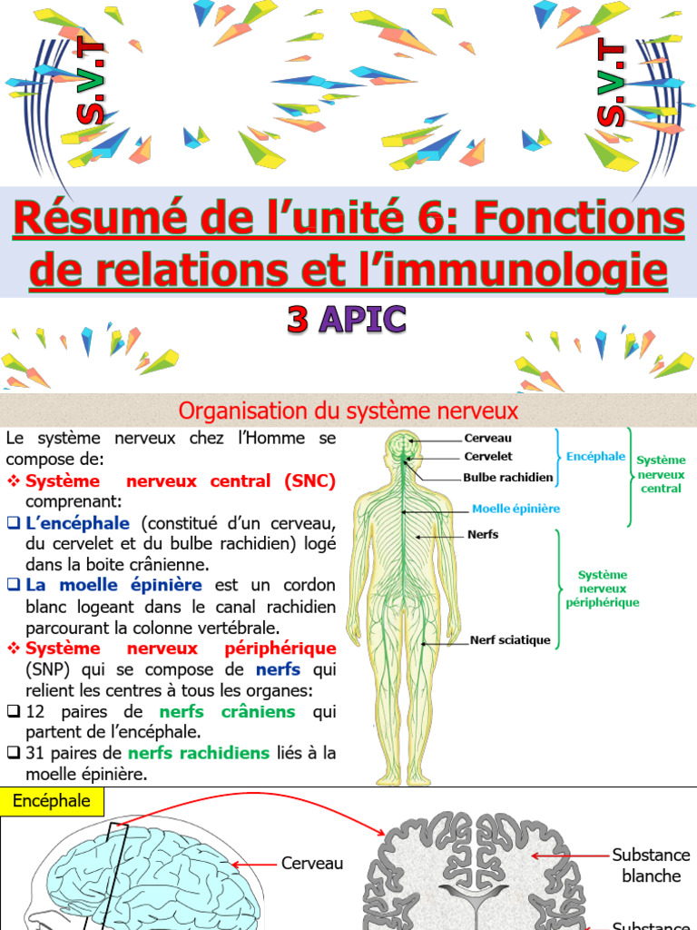 Résumé 3APIC SVT 2024 | PDF