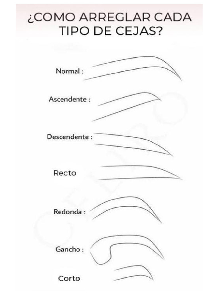 Tipos de Cejas | PDF