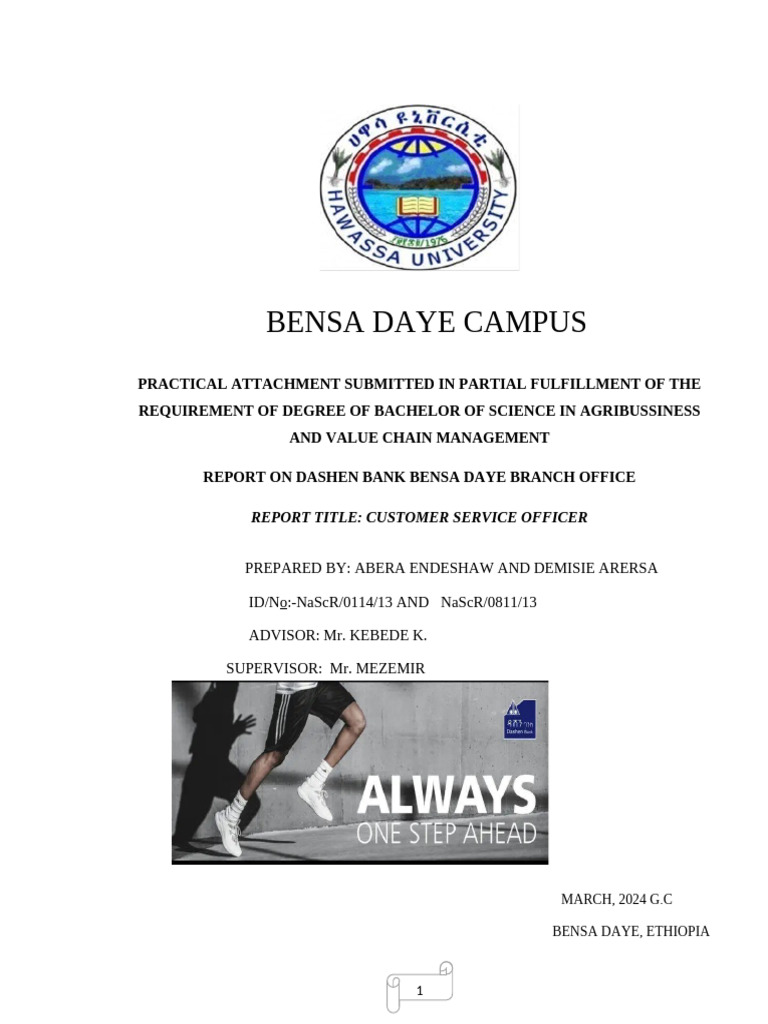 Abera and Demisie Dashen Bank Internship (Adpa) | PDF | Banks | Career & Growth