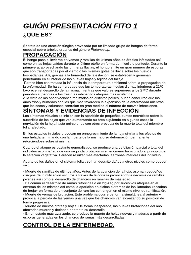 Guión Presentación Fito 1 | PDF