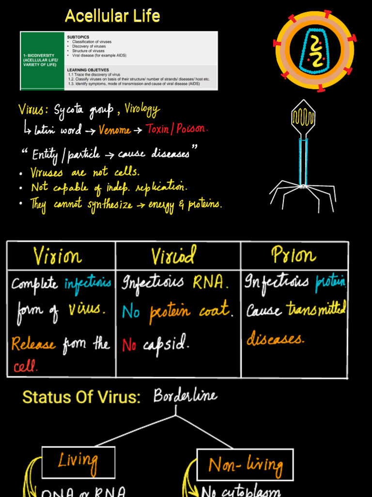 Acellular Life One Shot | PDF