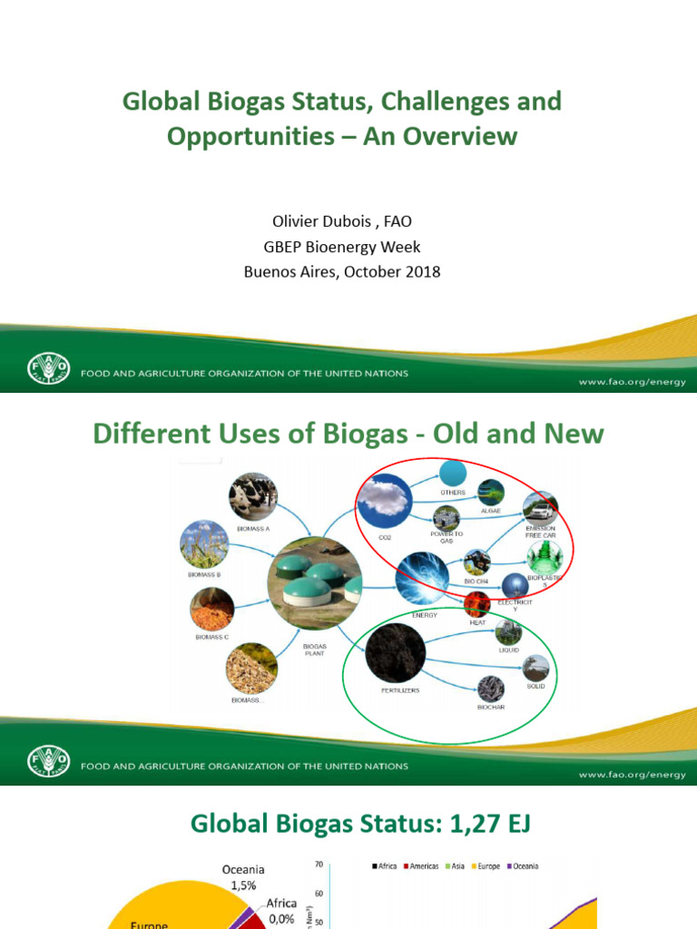 Global Biogas Status, Challenges and Opportunities - An Overview | PDF