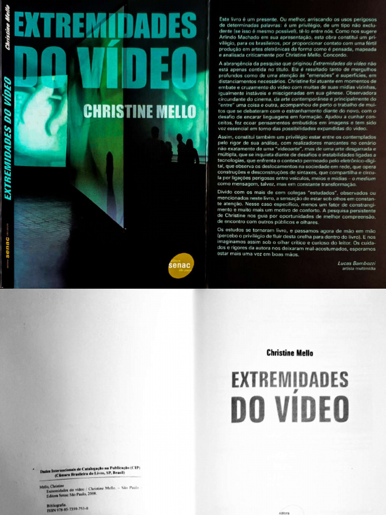 Extremidades Do Video Christine Mello | PDF