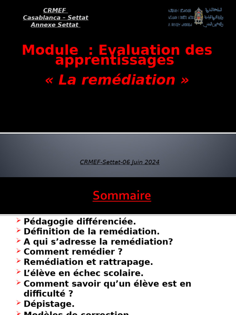 La Remédiation | PDF