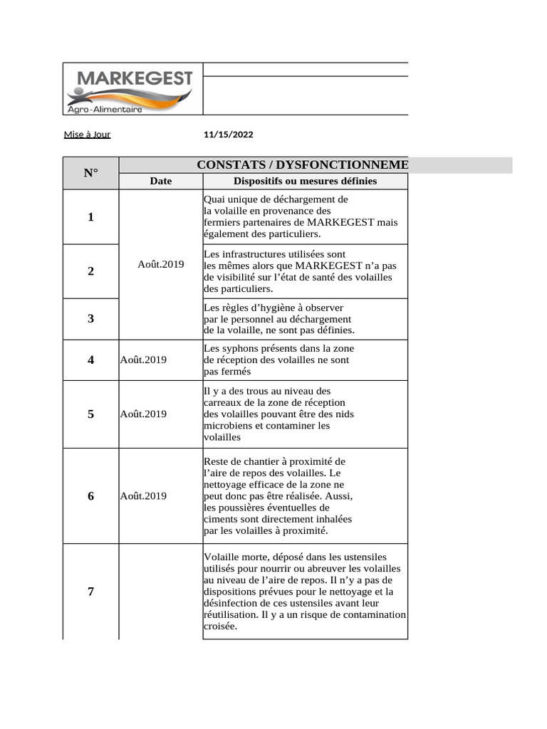 Plan D'action D'amelioration | PDF