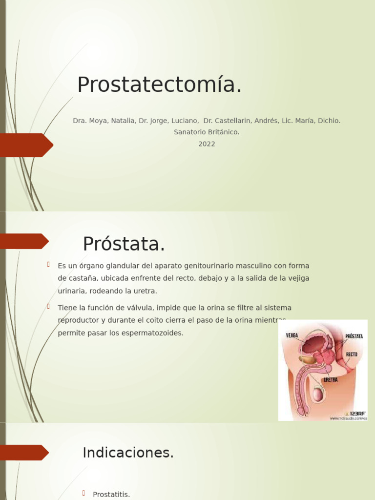 Prostatectomia | PDF