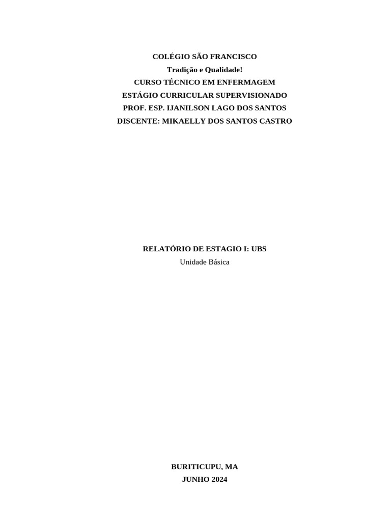 Relatório CSF Modelo 2024 | PDF
