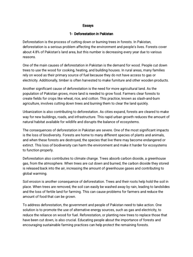 Essays | PDF