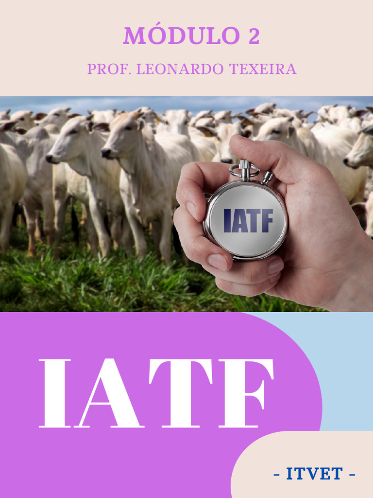 Módulo 2 - Aula 1 - ITVET | PDF