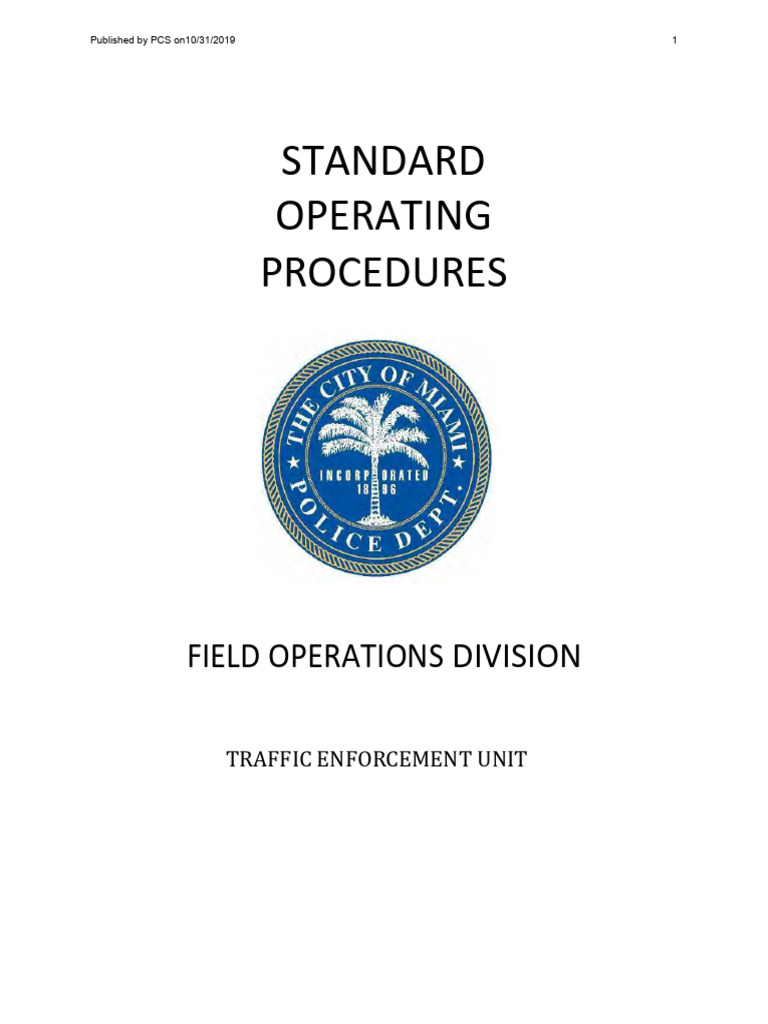 Traffic Enforcement Unit | PDF