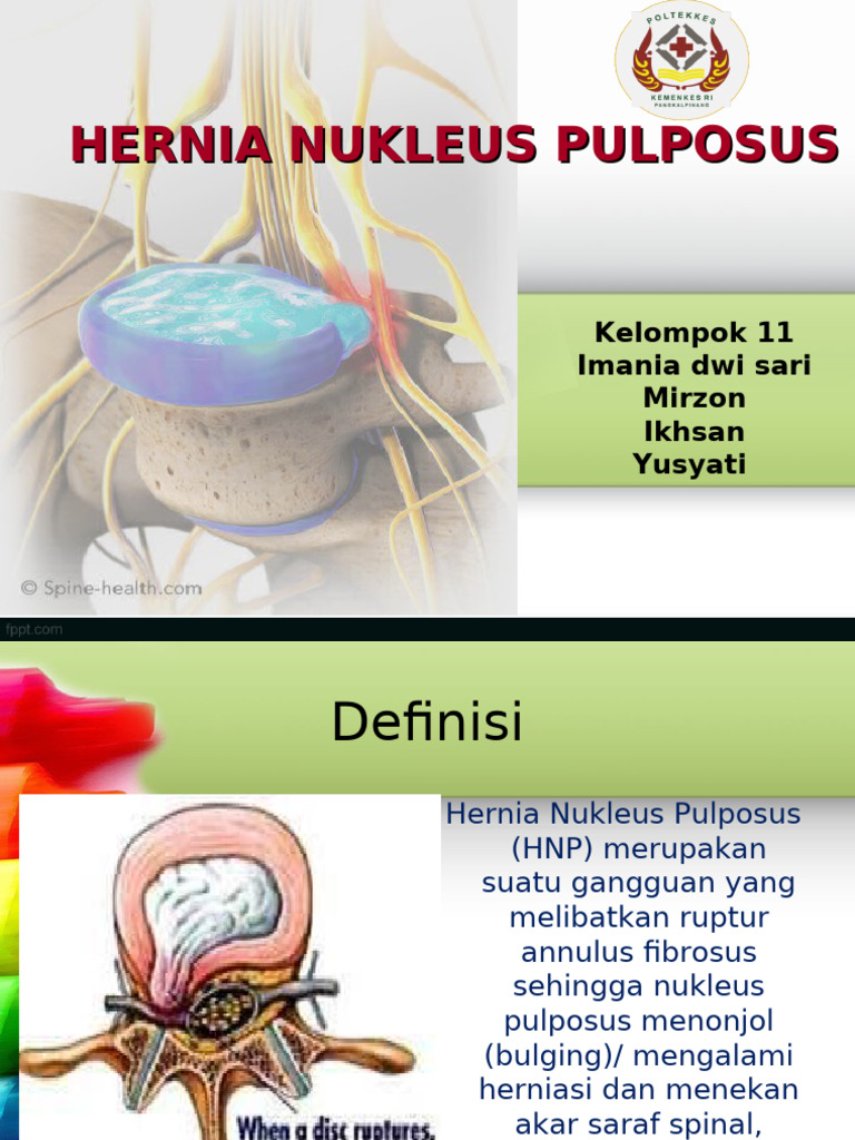 PPT HNP | PDF