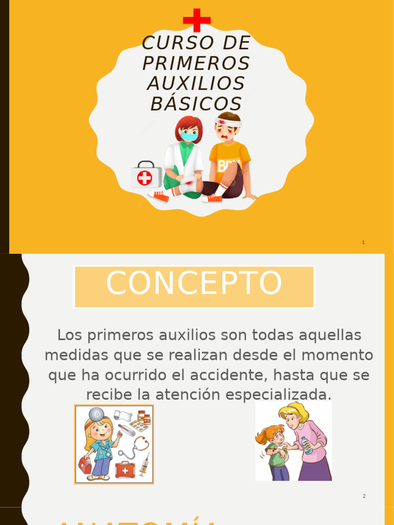 Primeros Auxilios | PDF