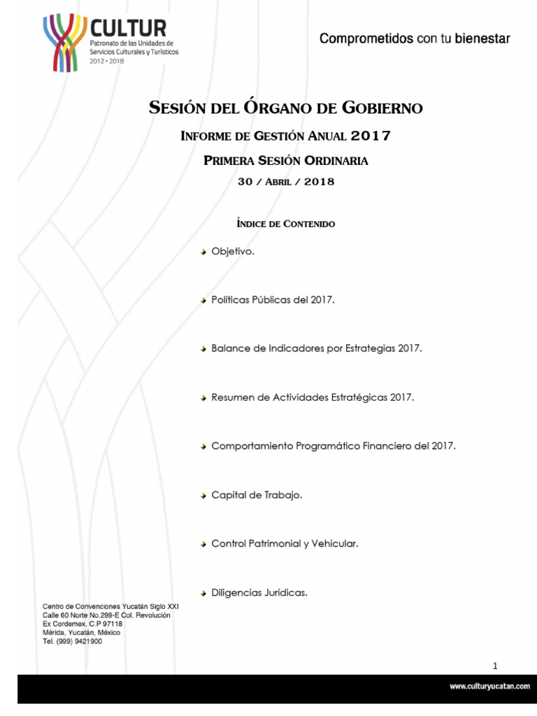 Informe Anual 2017 | PDF