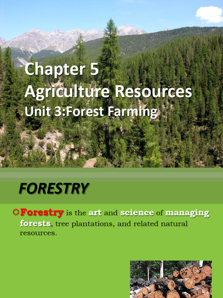 Lecture 14 Forests Agric-Unit 3 | PDF
