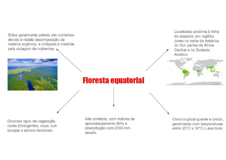 Floresta Equatorial | PDF